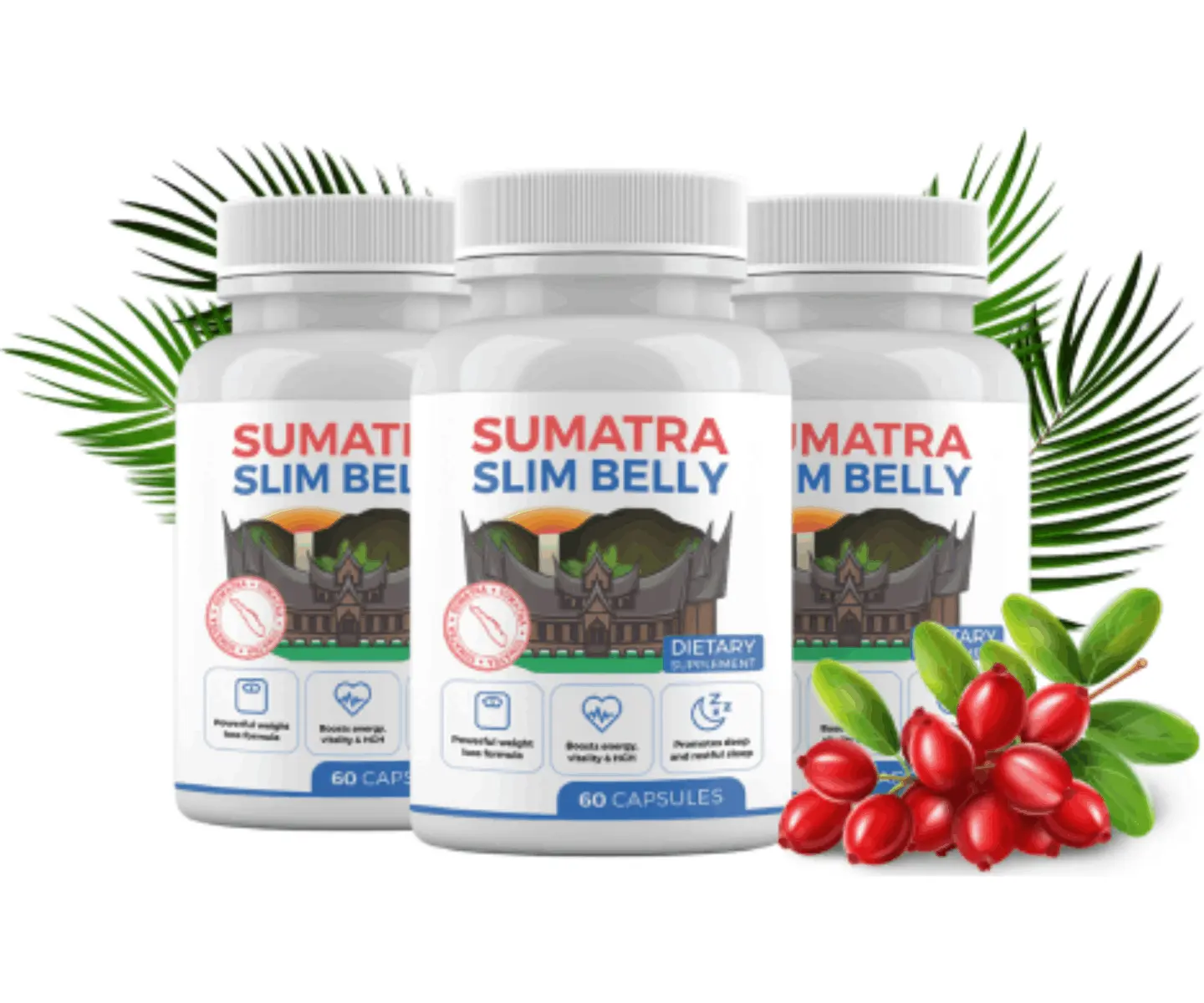 Sumatra Slim Belly Tonic | official website